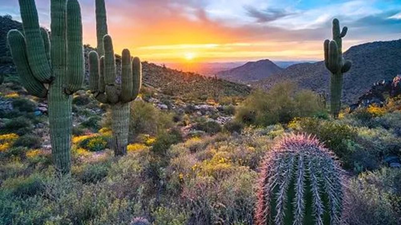 15 Enjoyable Outdoor Activities To Do in Phoenix In 2026 - OutdoorCarry