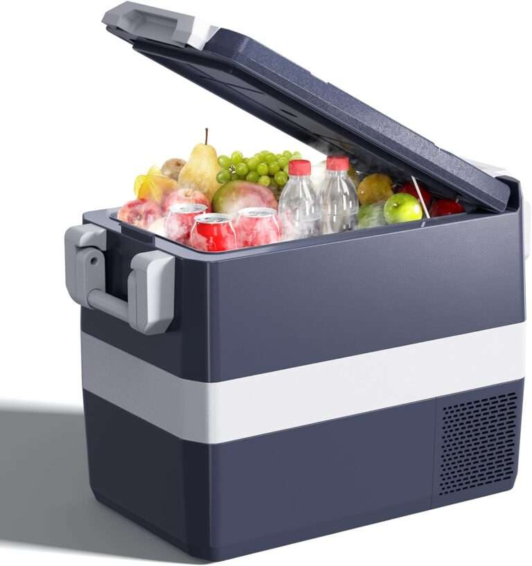 The 9 Best Fridges for Van Life in 2026 (Ranked & Reviewed)